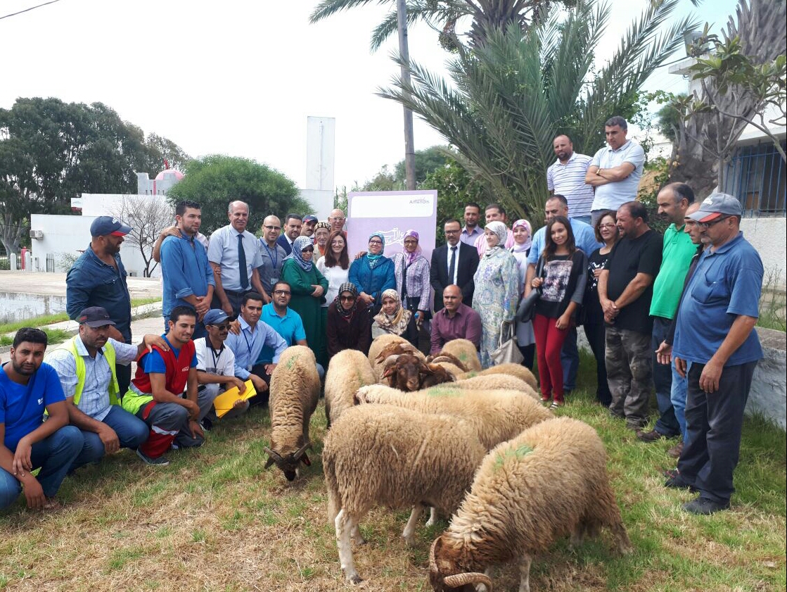 Amendis célèbre la fête de Aid Al Adha | Amendis